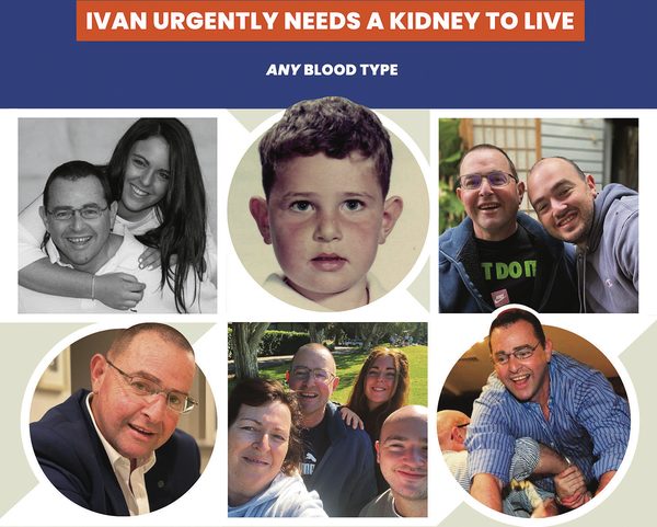 Kidney for Ivan – The Australian Jewish News