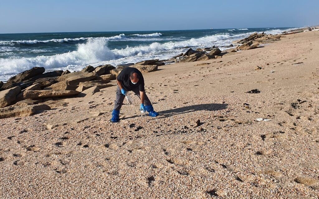 Marée noire : Un expert britannique inspecte les plages polluées pour ...