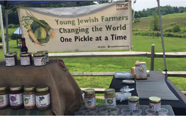 Jewish farming in the U.S. is fertile ground for Jewish ethnographer ...