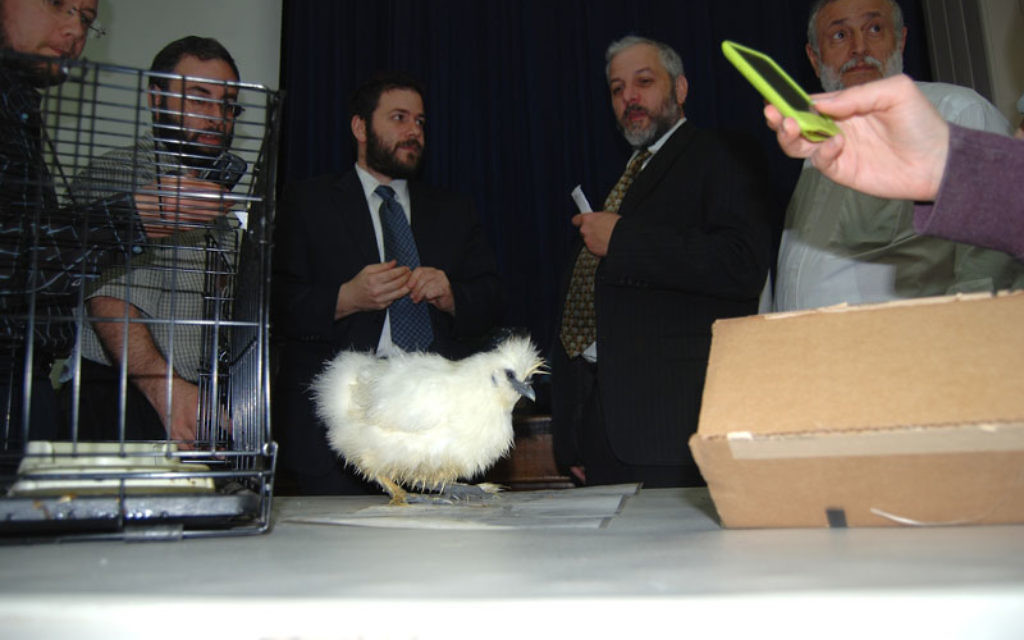 Kosher food seminar is for the birds — and bugs | New Jersey Jewish News