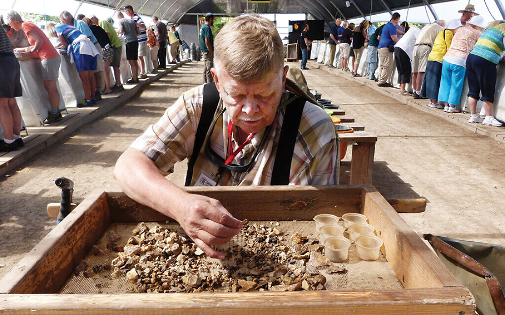 Finding buried sort-of treasure | New Jersey Jewish News