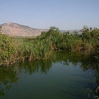 Fall for nature in the raw at the Huleh nature reserve | The Times of ...