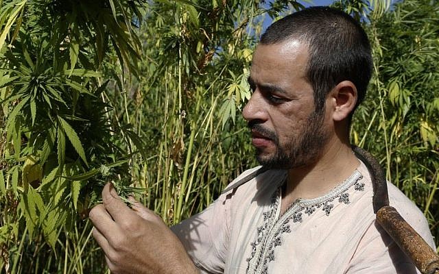 Breaking taboo, Morocco may okay pot in nod to struggling farmers | The ...
