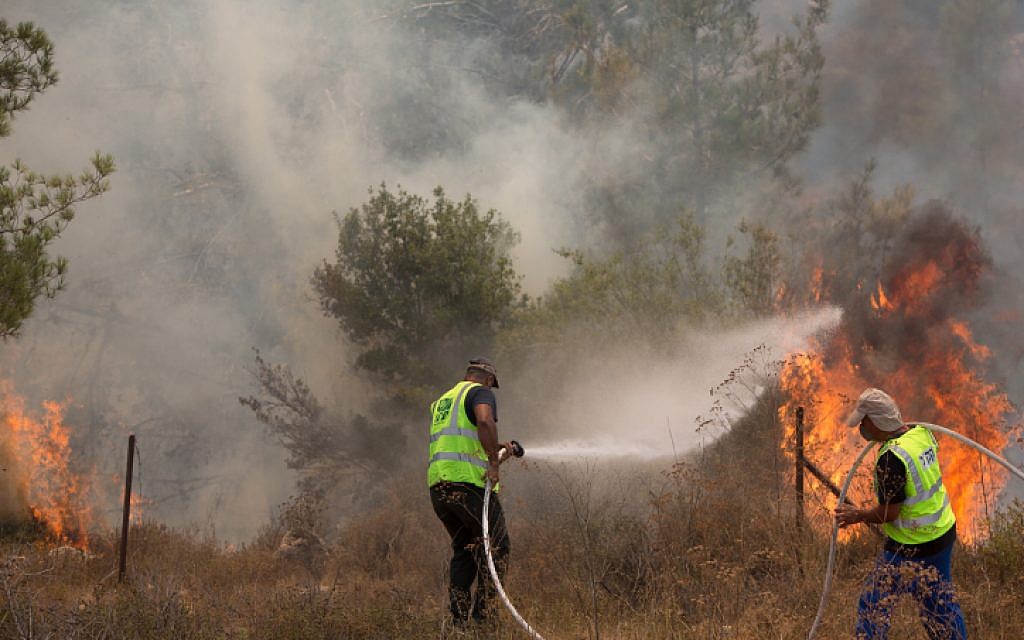 Jerusalem-area fire Sunday was arson | The Times of Israel