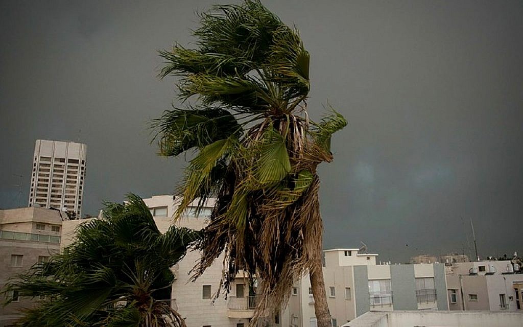 Dust storm, heavy rains expected in coming week | The Times of Israel