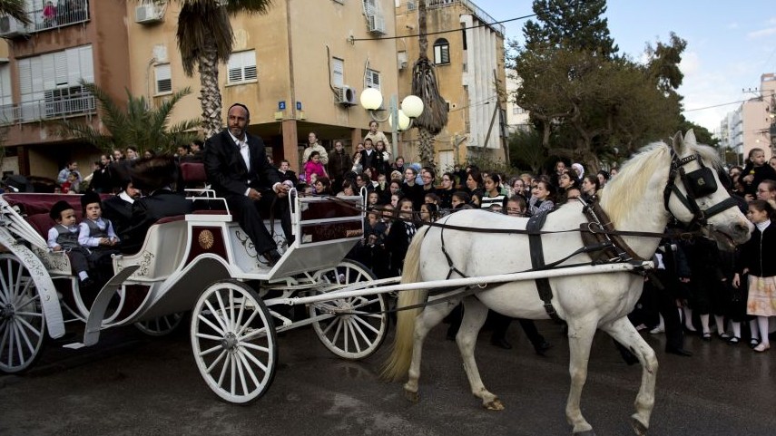 Views from the wedding of ultra-Orthodox 'royalty' | The Times of Israel