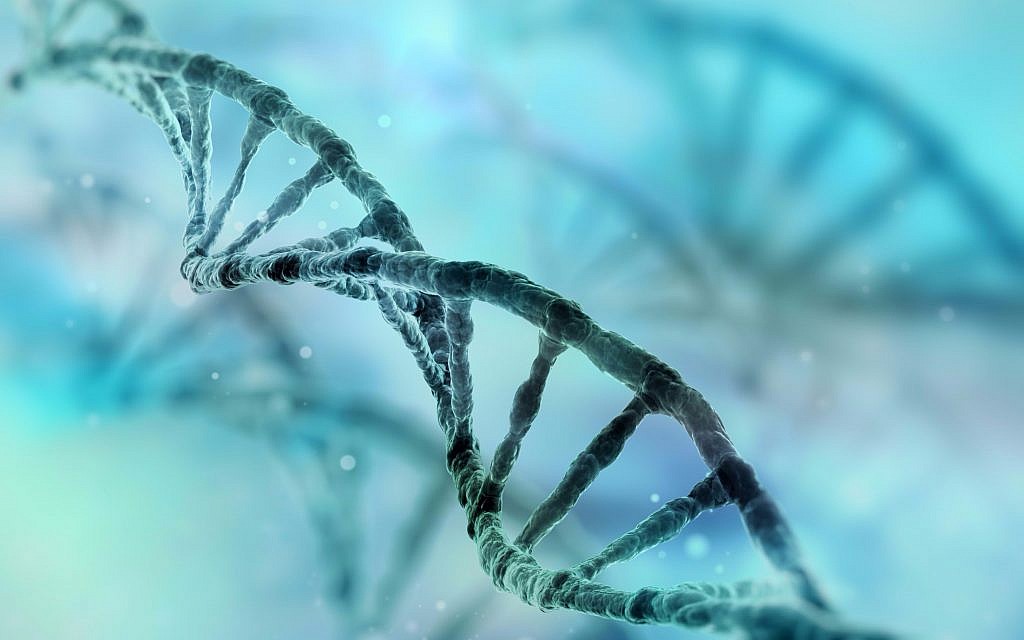 Israel's NRGene identifies mutation that causes colon cancer | The ...