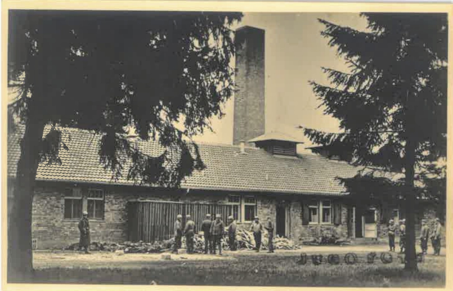 Newly revealed photographs chronicle aftermath of Dachau's liberation ...