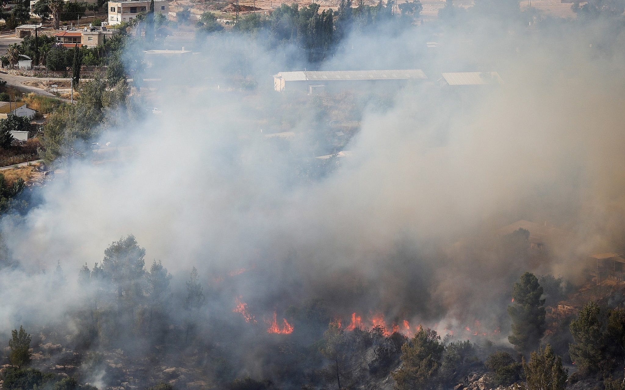Dozens of homes evacuated as brush fire rages in Jerusalem area | The ...