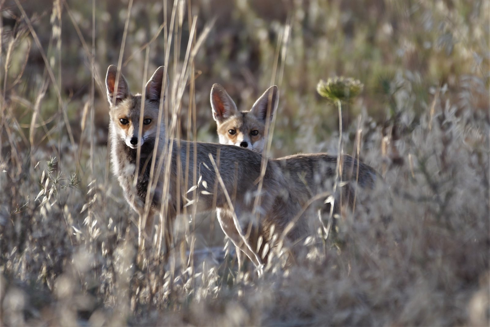 Israel slips to 29th worldwide in biennial environmental performance ...