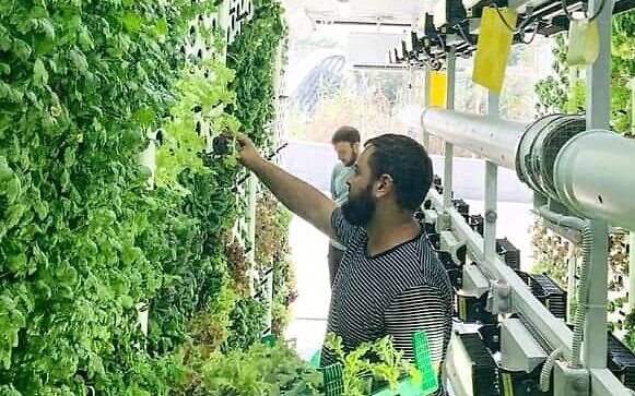 Israel's Vertical Field inks deal to deploy its farming system in UAE ...