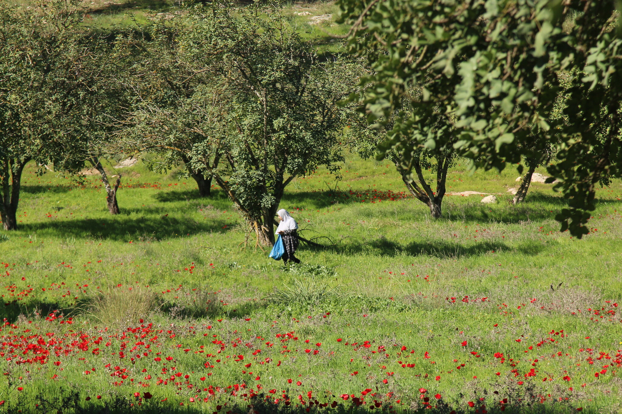 Tour 'King David's onetime home,' the 10th century BCE biblical city of ...