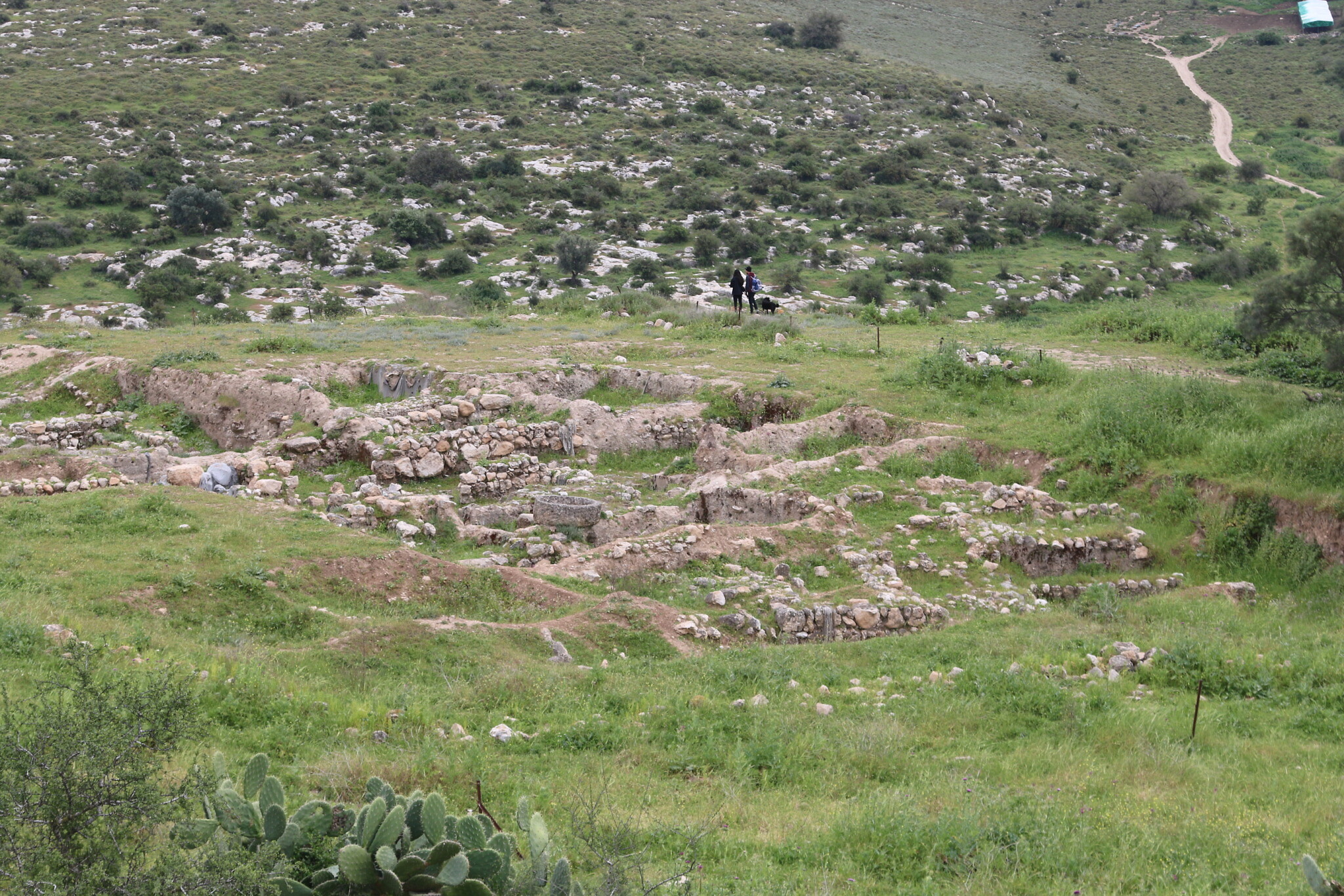 Stunning views from Goliath's hometown show its ancient strategic ...