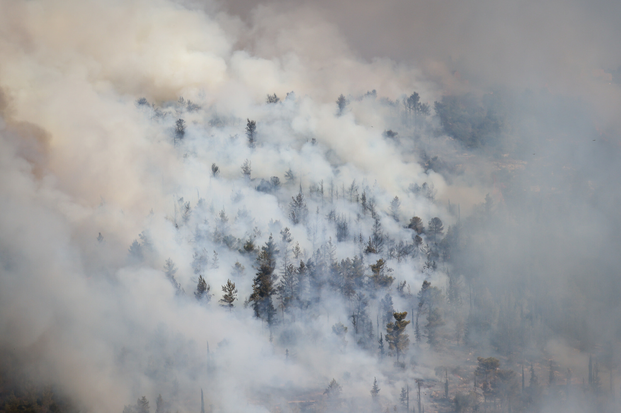Fire chief: Massive blaze near Jerusalem hopefully contained but may ...