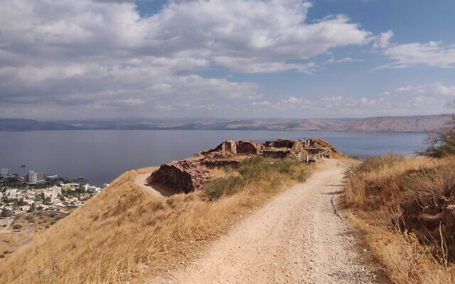 archaeology in Israel | The Times of Israel