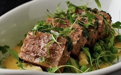 redefine meat | The Times of Israel