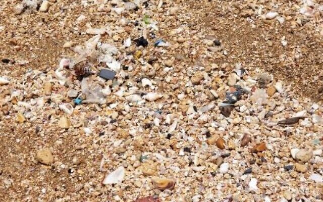 More than 2 tons of microplastics pollute Israel's coast, say ...
