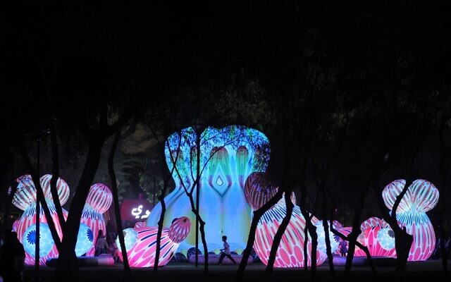 Saudi light festival tries to sell public on push to become arts ...