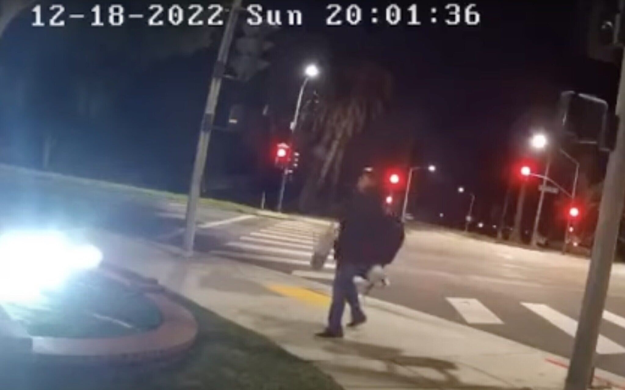 Man arrested for carving Nazi symbols into Beverly Hills menorah | The ...