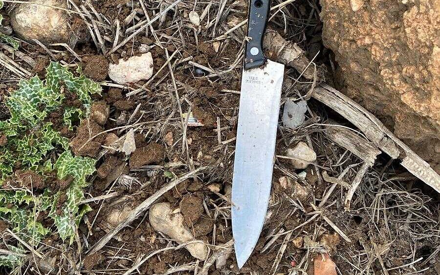 IDF says no soldiers hurt in attempted stabbing; suspect 'neutralized ...