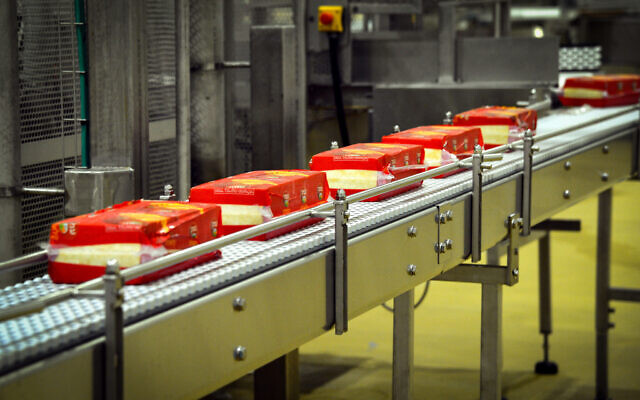 Tnuva announces price hikes on unregulated dairy products in fresh blow ...