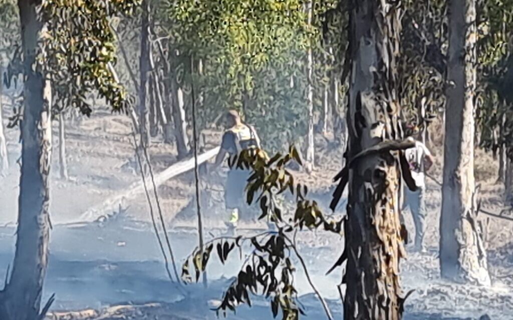Gaza balloons blamed as southern forest catches fire | The Times of Israel