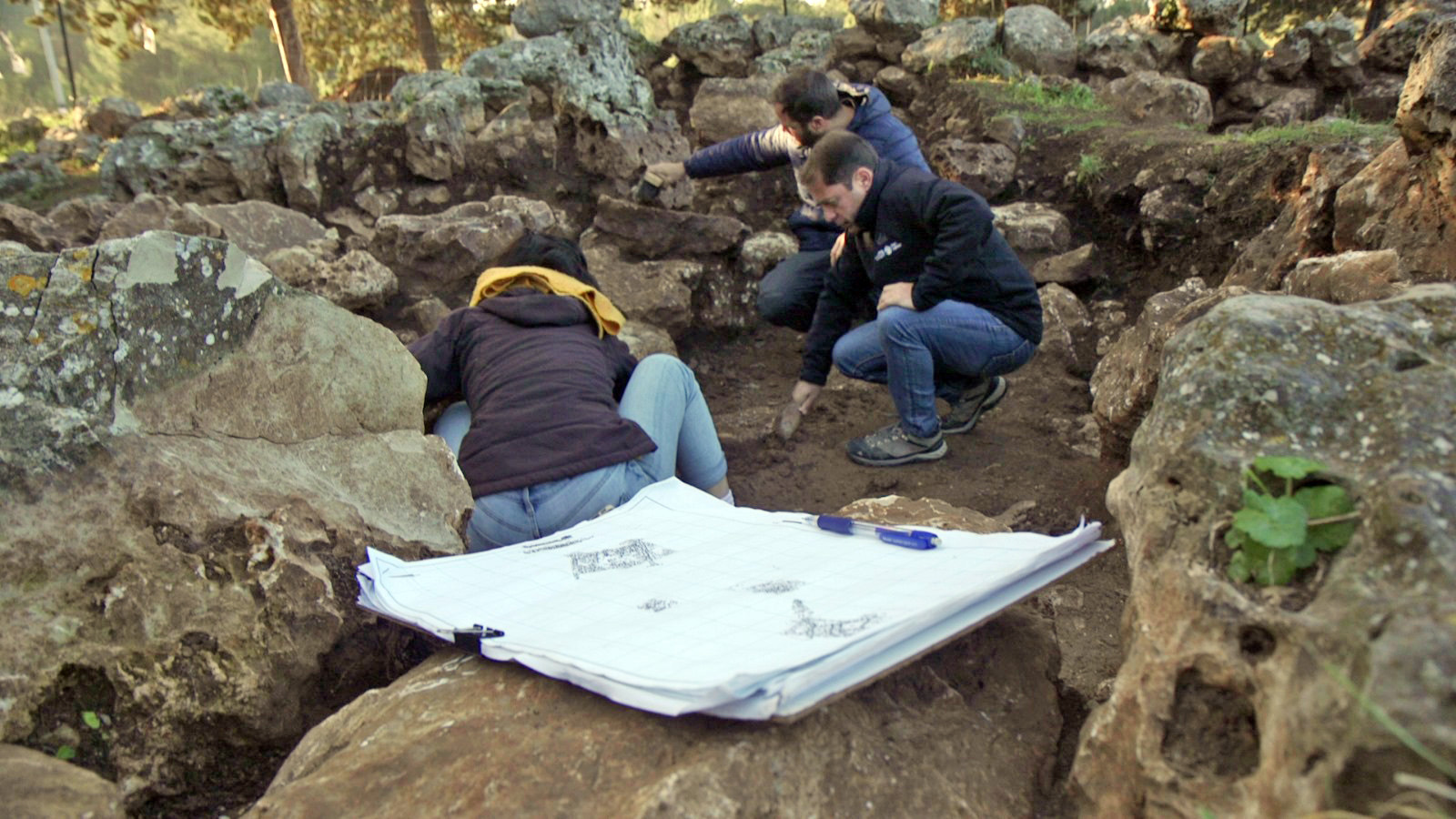 Extremely rare 2,550-year-old silver coin unearthed in Judean Hills ...