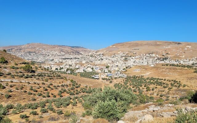 Flint tools for butchering deer were developed in Israel 400,000 years ...